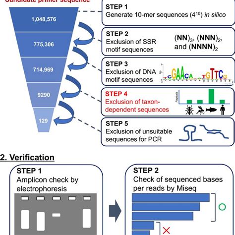 Workflow Showing Primer Design And Verification By Multiple Arbitrarily