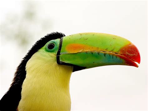 Augmentation Classification Dataset By Augmentation