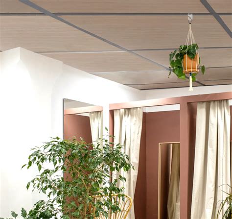 5 Reasons You Need Drop Ceiling Grid Hooks Picture Hang Solutions