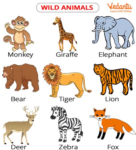Wild Animals Pictures Chart