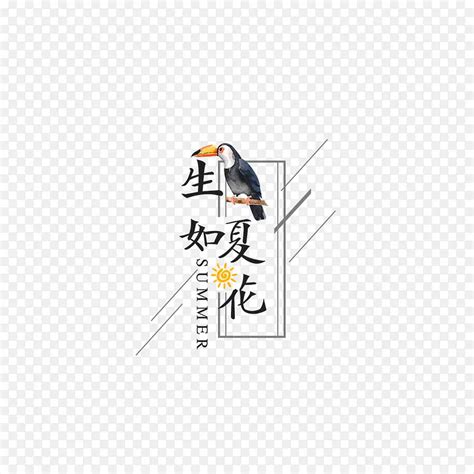 生如夏花字体PNG图片素材下载 图片编号qalebxpy 免抠素材网