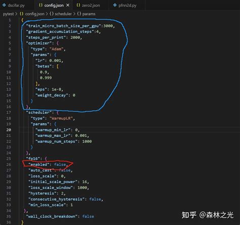 Deepspeed基础入门 深度学习求解pde多卡训练代码 知乎