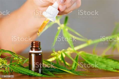웰빙 대마 칸 나비 디올 대마초 배경에 Cbd 오일 의 병 프리미엄 마리화나 제품 추출 Cbd와 의료 대마초 복사 공간을 위한 장소 Thc에 대한 스톡 사진 및 기타 이미지