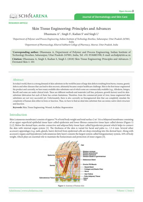 Pdf Skin Tissue Engineering Principles And Advances