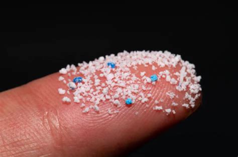 Researchers Find Microplastics In Nearly Every Sample Taken In The
