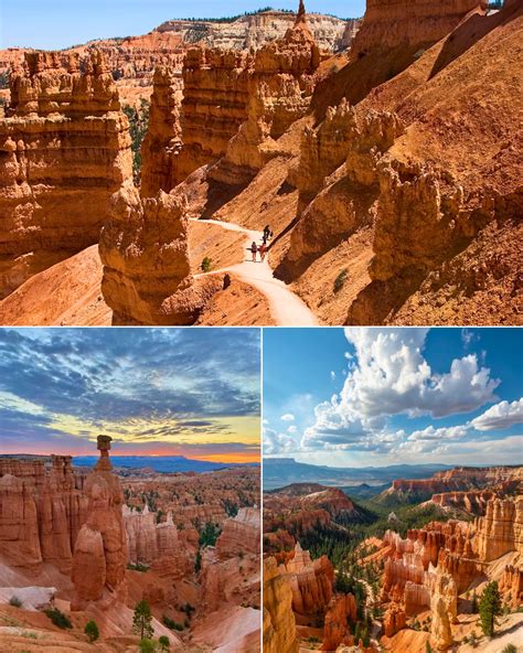 Amazing Bryce Canyon National Park In Utah Usa Bryce Canyon National