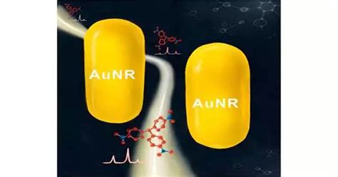 Scientists Employ Sers Technology To Precisely Examine Single Molecule Diffusion Behavior Qs