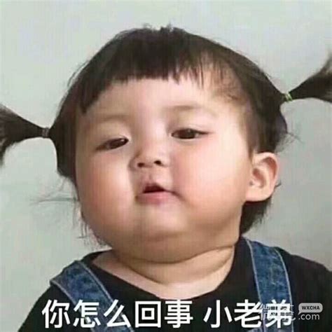 要你管微信恶搞群聊杂图表情包微信表情微茶网