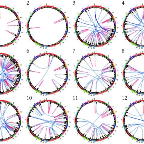Pdf Identification Of New Fusion Genes And Clinical Significance In Endometrial Cancer