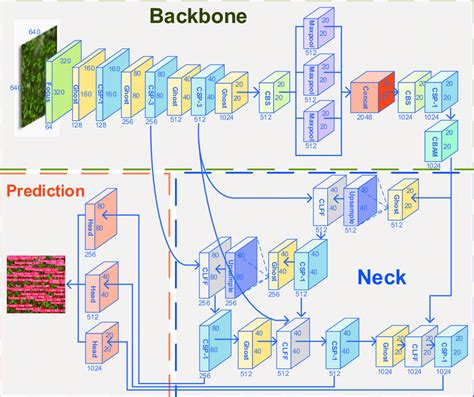 Proposed Network Structure Backbone Focus Cbs Convolution Batch