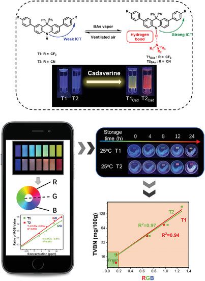 Fast And Visual Detection Of Biogenic Amines And Food Freshness Based On Ict‐induced Ratiometric