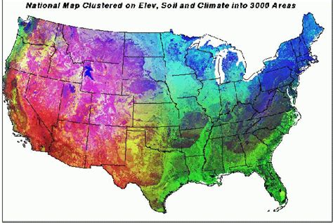 Mancias Maps Multivariate Choropleth Map