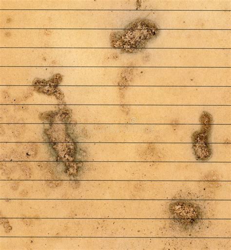 Old Grunge Dirty Index Catalog Paper Card With Line Background Stock Photo Image Of Empty