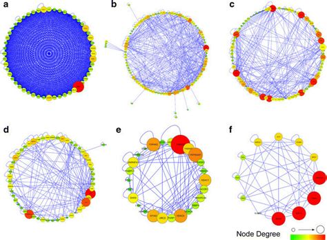 Functional Modules Identified By Allegromcode Based On Molecular Download Scientific Diagram