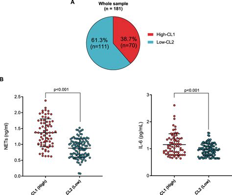 Sample Stratification In The Whole Sample N 181 Using Unsupervised Download Scientific