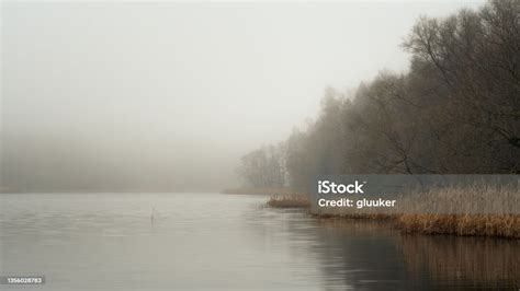 늦은 가을의 둔한 색상 호수와 해안선의 경치가 아름다운 안개가 자욱한 풍경 젖은 날씨에 마른 대지 부드러운 안개가 자욱한 배경 10월에 대한 스톡 사진 및 기타 이미지