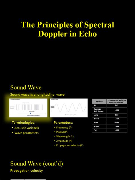 The Principles Of Spectral Doppler In Echo Pdf Waves Doppler Effect
