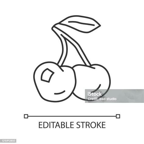 잘 익은 체리 선형 아이콘입니다 신선한 열매 얇은 라인 그림입니다 건강 식품 채식 주의 영양 비타민 다이어트 윤곽 기호 주스 성분 벡터 절연 윤곽도 도면 편집 가능한