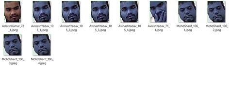 Questions On Using Deepfacefind But With A Custom Face Detection