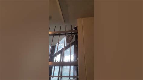 전기기사 전등 전기를 환풍기에 사용할 경우 전등 Off시 환풍기 작동이 안된다 Youtube