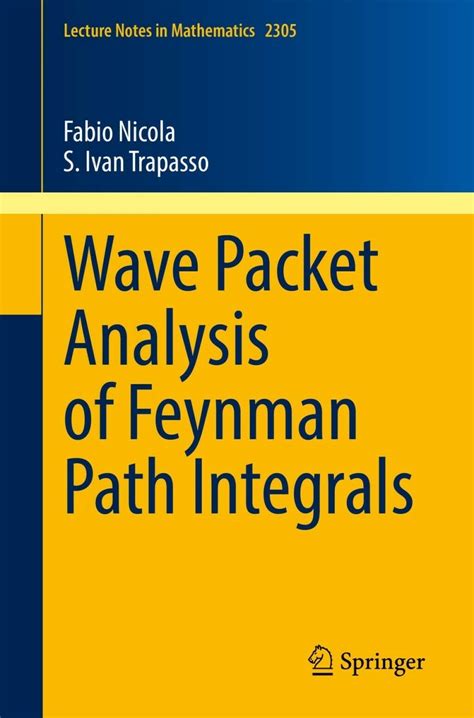 Wave Packet Analysis Of Feynman Path Integrals Premiumjs Store