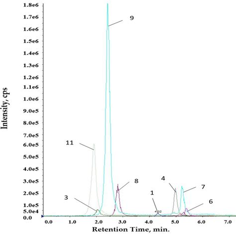 Chromatogram For Ethanolic Extract Download Scientific Diagram