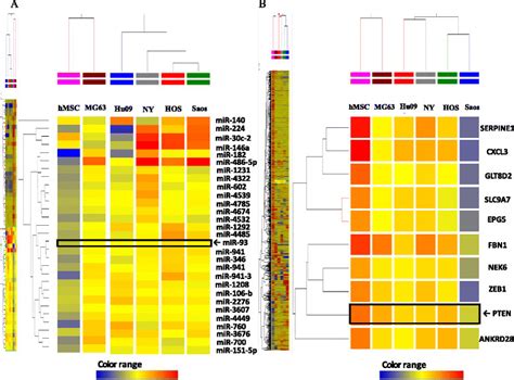 Rna And Cdna Array Analysis In Os Cell Lines A Heat Map Of Genome Wide