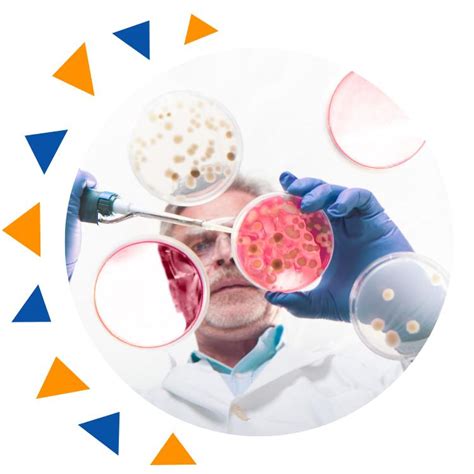 Course Ai And Chatgpt For Reinforcement Learning Strategies Updated 2025