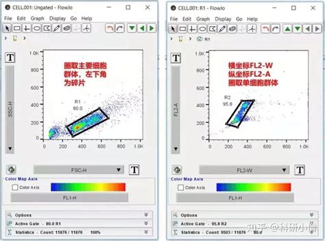 【罗工流式秘籍39】上机时如何去除粘连体 知乎