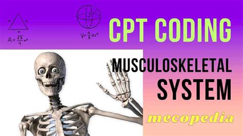 Musculoskeletal System Cpt Coding