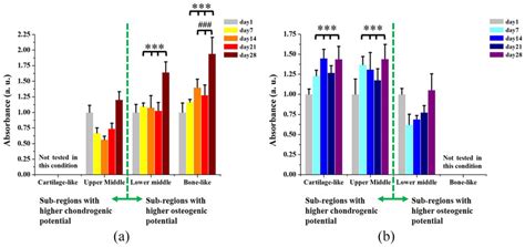 A Proliferation Of Hbmscs In Osteogenic Differentiation Medium
