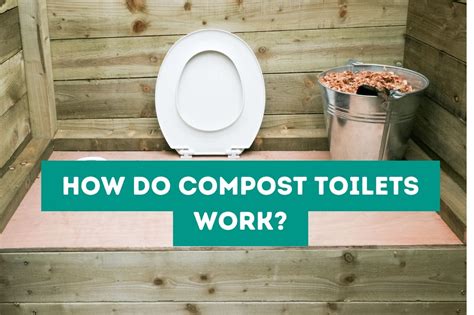 How Do Compost Toilets Work Tiny House Arena