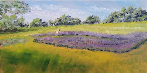 Lavender Fields Susan E Hanna