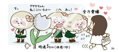 しんしん Named by 彩花 on Twitter RT tutu aya tutu 前の子に全力愛嬌してたアヤカちゃんが見れた