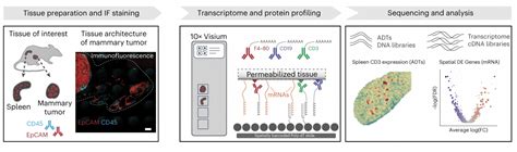Multimodal Tissue Characterisation With Spatial Protein And Transcriptome Sequencing