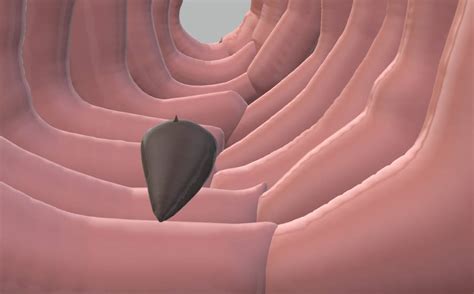 Welcome To Hell 46 By Csaba5001 On Deviantart