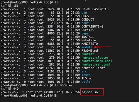 Redis Json 的安装与实战，真的很丝滑redisjson Csdn博客