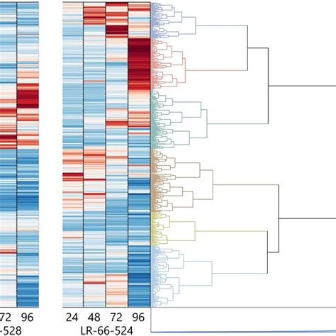 Hierarchical Cluster Analysis Of Gene Expression Profiles Of Download Scientific Diagram