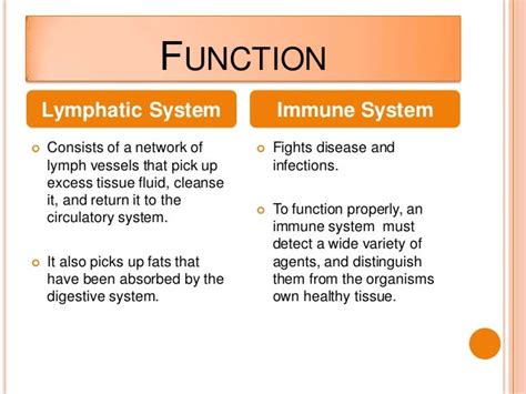 Lymphatic And Immune System Terms