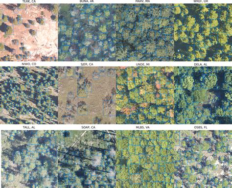Deepforest A Python Package For Rgb Deep Learning Tree Crown Delineation Weinstein 2020