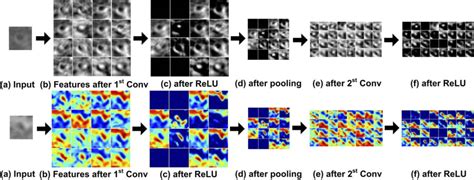 Figure 1 From Tumor Tissue Classification Based On Micro Hyperspectral Technology And Deep