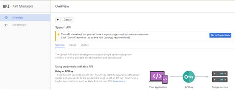Using Google Speech API In Your IOS Application