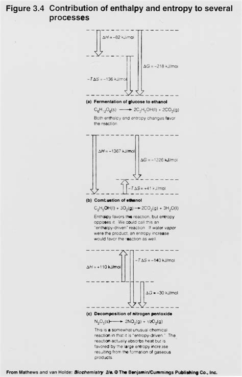Reaction Enthalpy And Entropy