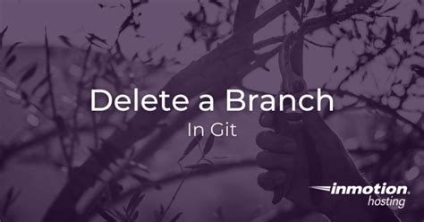 how to delete a branch in git