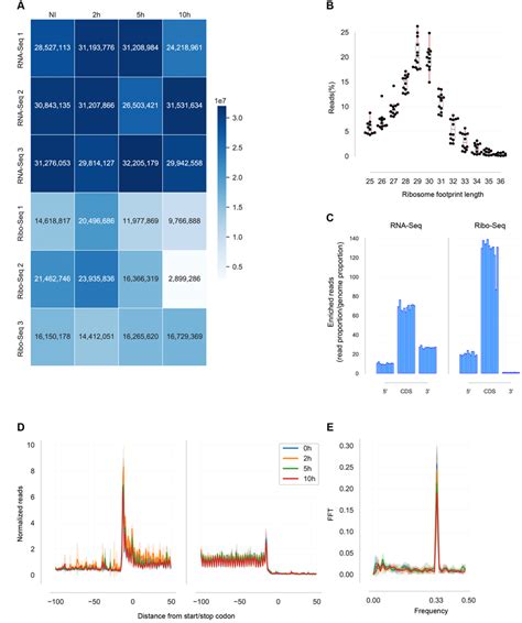 Figure Supplement 1 Quality Controls Of The Rna Seq And Ribo Seq Data Download Scientific