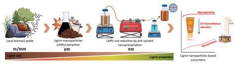 The Impact Of Lignin Biopolymer Sources Isolation And Size Reduction From The Macro To