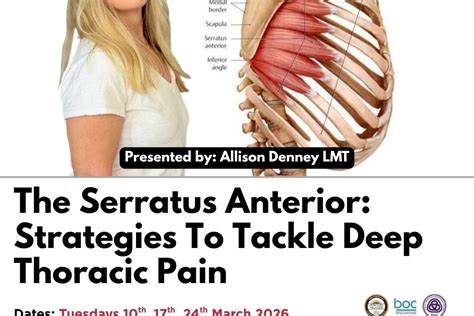 Online Course Serratus Anterior Strategies To Tackle Deep Thoracic