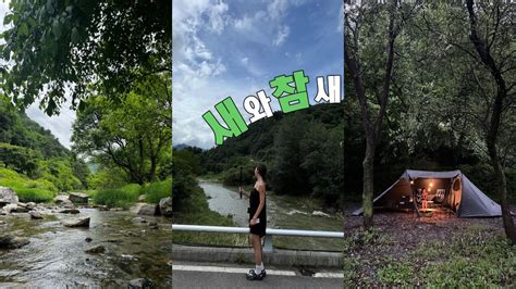 새와참새 캠핑장 소개 명당 사이트 숲뷰와 계곡뷰 동시에 즐길 수 있는 곳🏕〰 Youtube