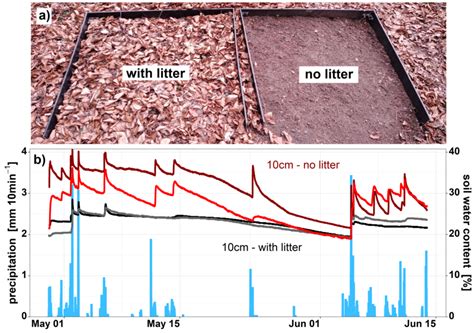 Plot Experiments With And Without A Broadleaf Litter Layer A Showing