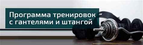 Программа тренировок с гантелями и штангой на массу или для похудения